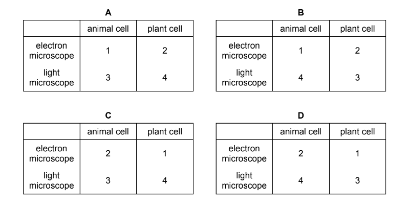 A level Biology 1.1 The microscope in cells study - Exam style question ...