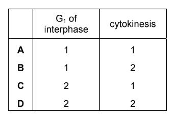 A level Biology 5.1 Replication and division of nuclei and cells - Exam ...