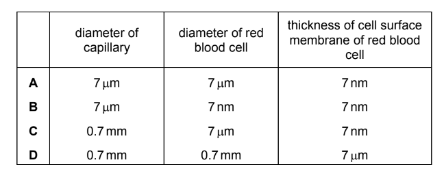 A level Biology 1.1 The microscope in cells study - Exam style question ...