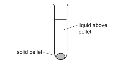A level Biology 1.2 Cells as the basic units of living organisms - Exam ...