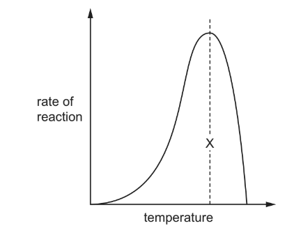 A level Biology 3.2 Factors that affect enzyme action - Exam style ...