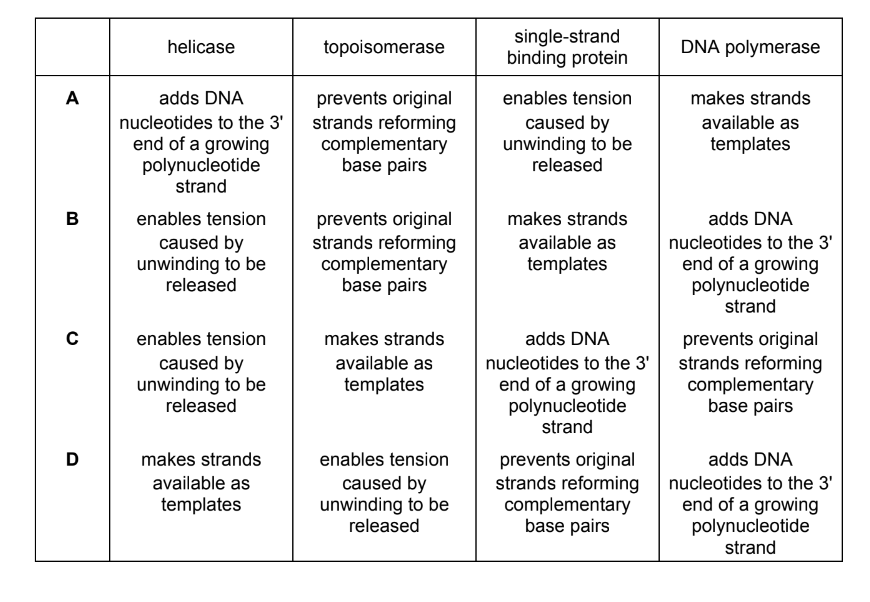 A level Biology 6.1 Structure of nucleic acids and replication of DNA ...