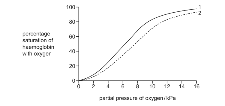A level Biology 8.2 Transport of oxygen and carbon dioxide - Exam style ...