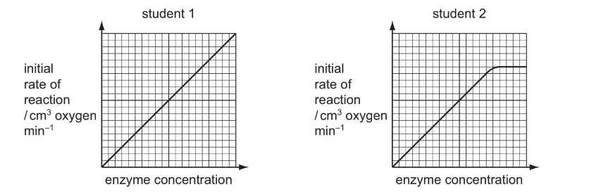Enzyme Concentration Graph