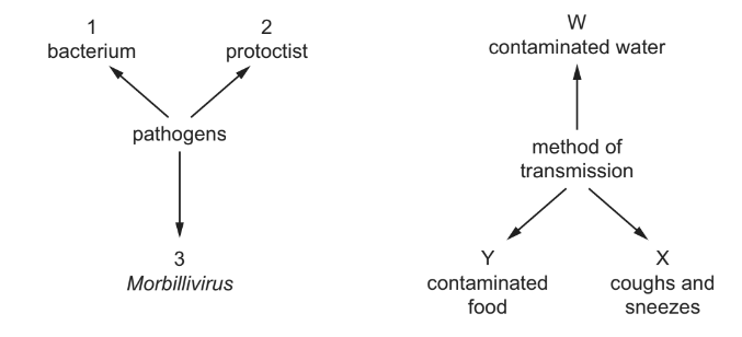 A level Biology 10.1 Infectious diseases - Exam style question - Paper 1