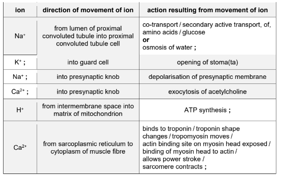 A level Biology 15.1 Control and coordination in mammals- Exam style ...