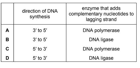 A level Biology 6.1 Structure of nucleic acids and replication of DNA ...