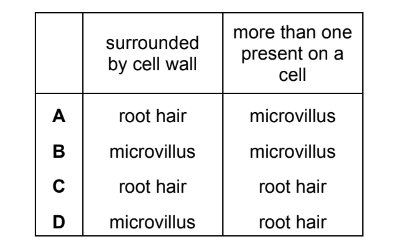 A level Biology 1.2 Cells as the basic units of living organisms - Exam ...