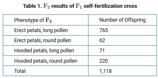 AP Biology : 5.2 Meiosis and Genetic Diversity - Exam Style questions ...