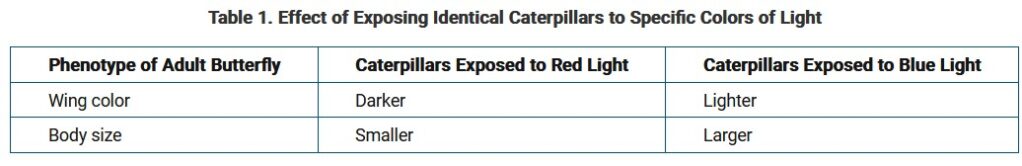 AP Biology : 5.5 Environmental Effects on Phenotype - Exam Style ...