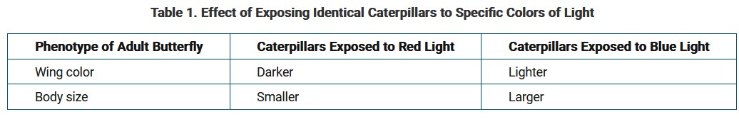 AP Biology : 5.5 Environmental Effects on Phenotype - Exam Style ...