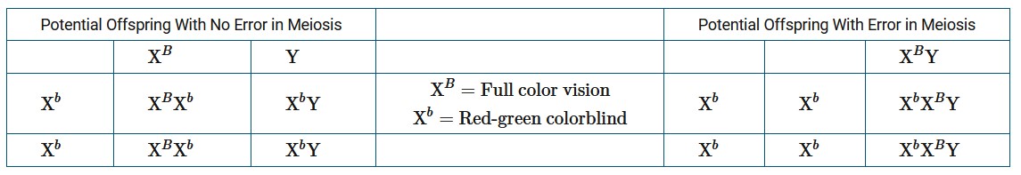 AP Biology : 5.6 Chromosomal Inheritance - Exam Style questions with ...