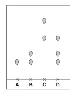 iGCSE Chemistry (0620) Core:12.3 Chromatography: Exam Style Questions ...