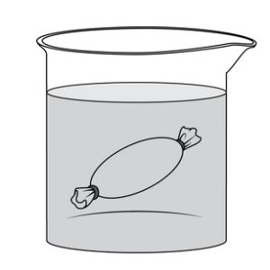 IB DP Biology B2.2 Organelles and compartmentalization-FA 2025 ...