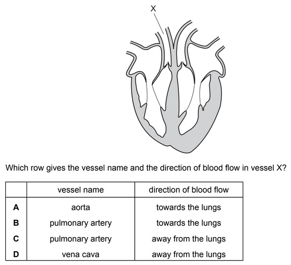 iGCSE Biology (0610)-9.2 Heart - iGCSE Style Questions Paper 2