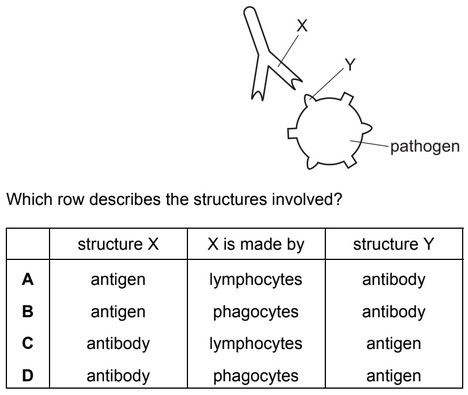 iGCSE Biology (0610)-10.1 Diseases and immunity - iGCSE Style Questions ...
