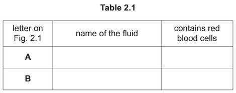 iGCSE Biology (0610)-9.4 Blood - iGCSE Style Questions Paper 4