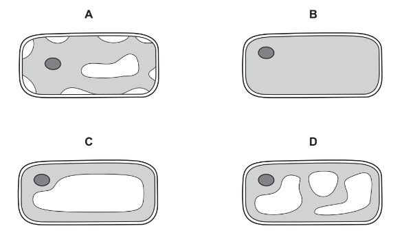 Igcse Biology 0610 3 2 Osmosis Igcse Style Questions Paper 2 Elearning App By Iitians