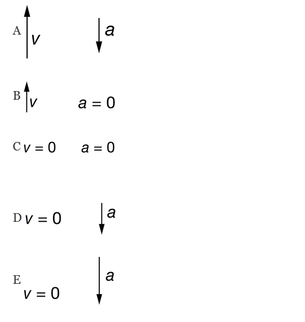 AP Physics C Mechanics Scalars and Vectors MCQ