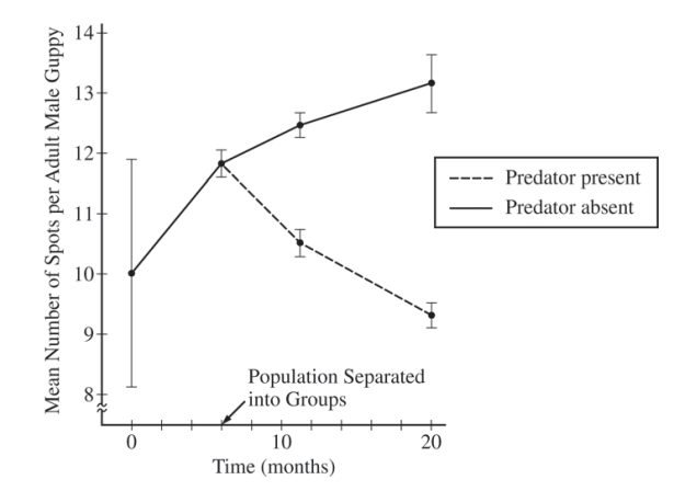 AP Biology : 7.12 Variations in Populations - Exam Style questions with ...