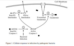 AP Biology:4.4 Changes in Signal Transduction Pathways- Exam Style ...