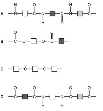iGCSE Chemistry Multiple Choice (Extended) : 11.8 Polymers: Exam Style ...
