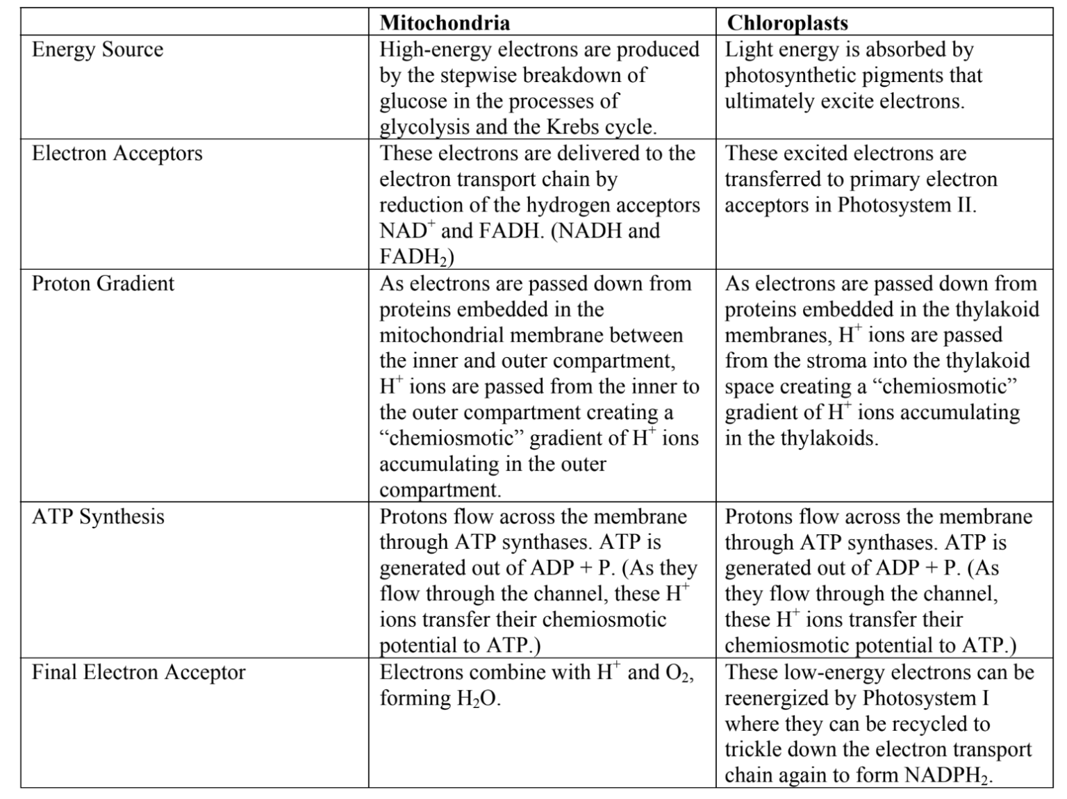 AP Biology :3.4 Cellular Energy - Exam Style questions with Answer- FRQ