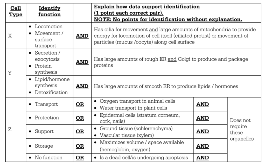 AP Biology : 2.2 Cell Structure and Function- Exam Style questions with ...