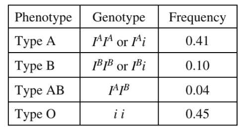 AP Biology :7.5 Hardy-Weinberg Equilibrium- Exam Style questions with ...