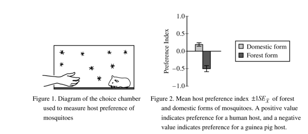 AP Biology : 6.7 Mutations- Exam Style questions with Answer- FRQ
