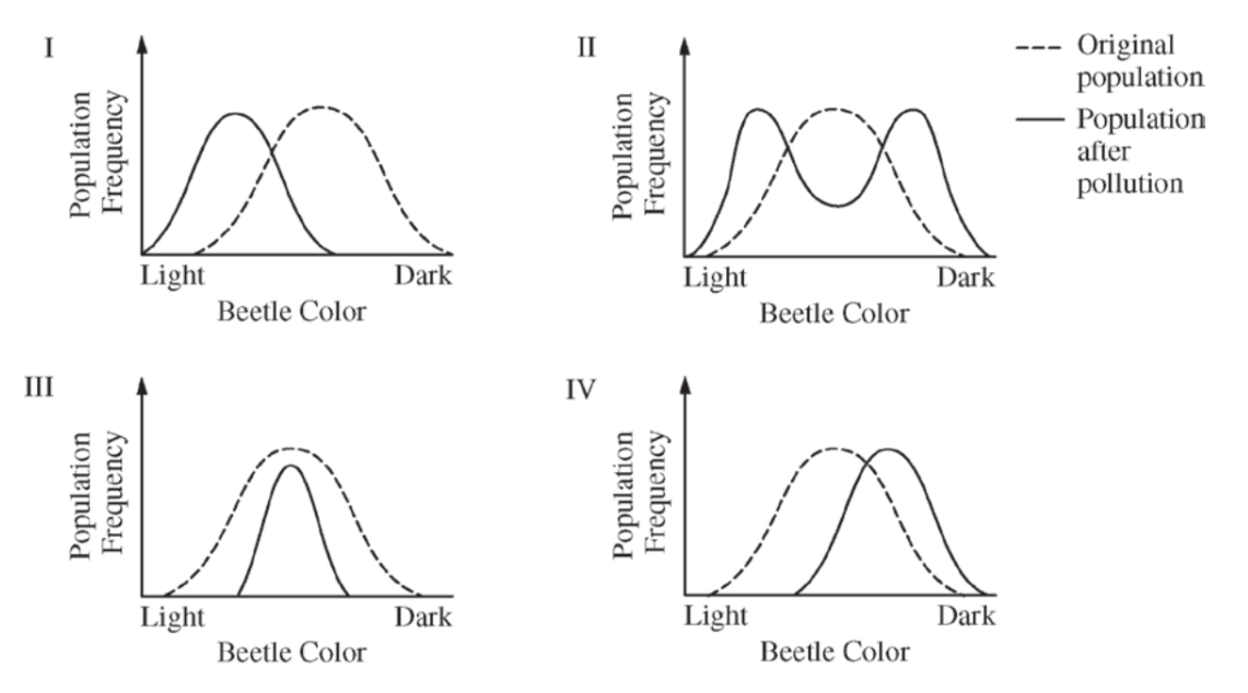 AP Biology : 7.12 Variations in Populations - Exam Style questions with ...