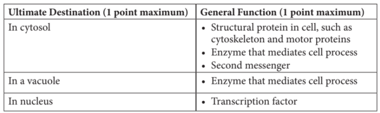AP Biology : 2.2 Cell Structure and Function- Exam Style questions with ...