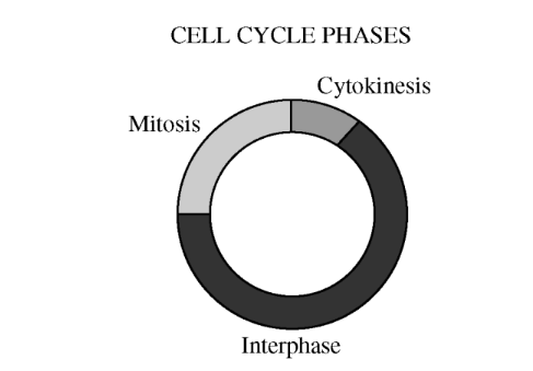 AP Biology 4.5 Cell Cycle- Exam Style questions - FRQ