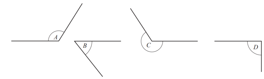 iGCSE Mathematics (0580) : C4.1 Use and interpret the geometrical terms: iGCSE Style Questions ...