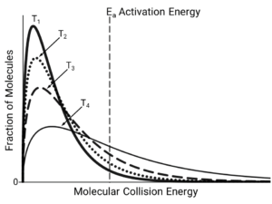 AP Chemistry: 5.5 Collision Model - Exam Style questions with Answer- MCQ
