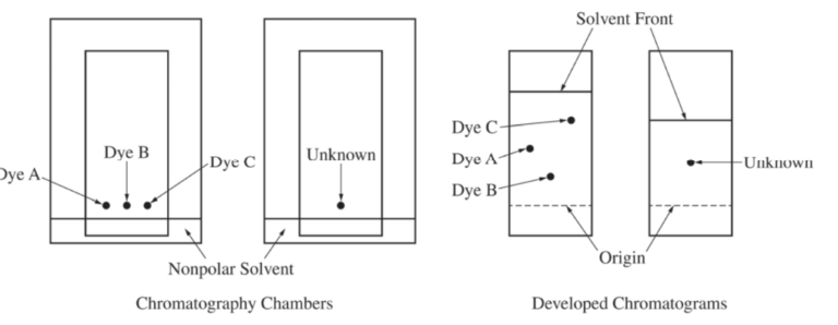 AP Chemistry: 3.9 Separation of Solutions and Mixtures Chromatography ...