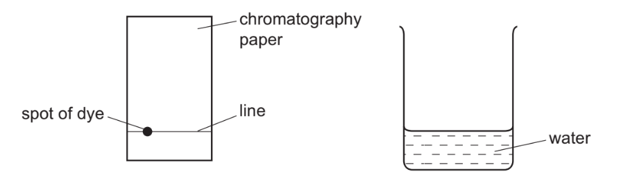 iGCSE Chemistry (0620) Core:12.3 Chromatography: Exam Style Questions ...