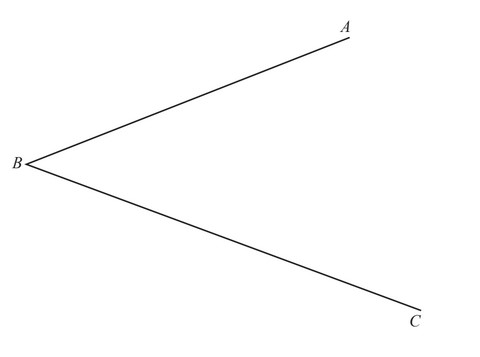 iGCSE Mathematics (0580) : C4.2 Measure and draw lines and angles. iGCSE Style Questions Paper 1