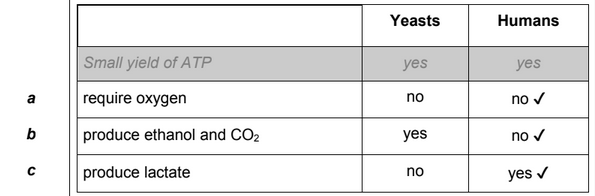 Mock Exam IB DP Biology SL Paper 2 Set 4