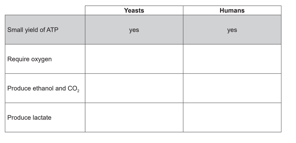 Mock Exam IB DP Biology SL Paper 2 Set 4