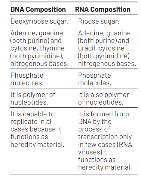 Topic 1: The Genetic Material- DNA and RNA NEET Style Questions