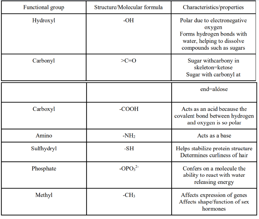 Biology Functional Groups