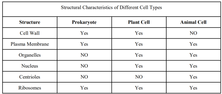 AP Biology : 2.5 Membrane Permeability - Study Notes - IBDP, MYP, AP ...