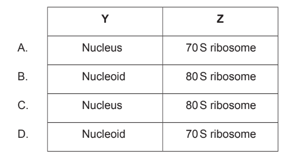 IB DP Biology 1.2 Ultrastructure of cells Question Bank HL Paper 1