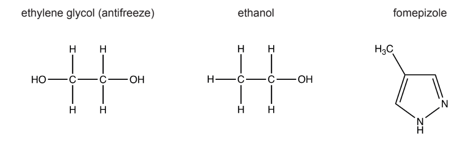 IB DP Biology Topic 8: Metabolism, cell respiration and photosynthesis ...