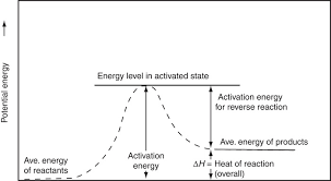 AP Chemistry 5.6 Reaction Profiles Study Notes