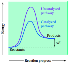 AP Chemistry 5.11 Catalysis Study Notes