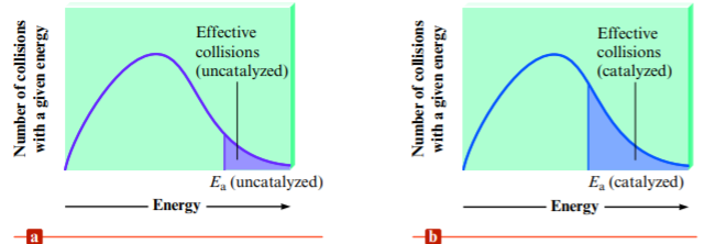 AP Chemistry 5.11 Catalysis Study Notes