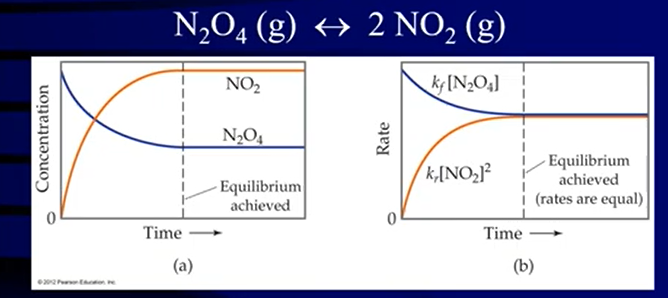 AP Chemistry Unit 7.1 Introduction to Equilibrium