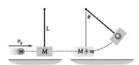 AP Physics C: Mechanics-4.3 Conservation of Linear Momentum, Collisions ...